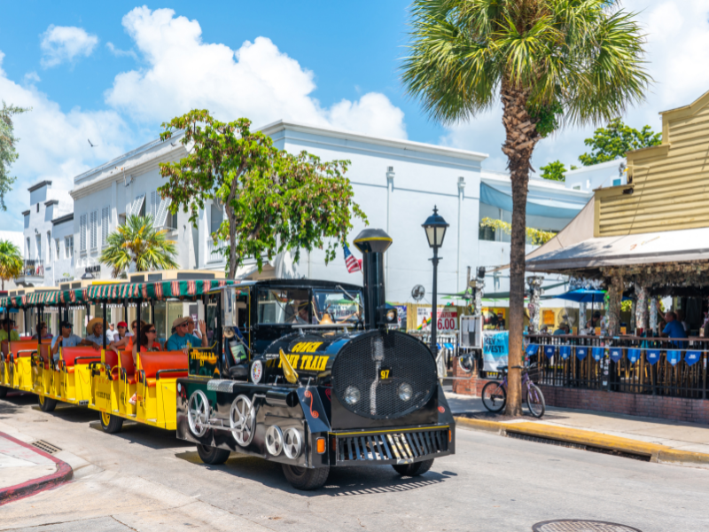 Things to do in Sugarloaf Key | Sugarloaf Key Hotel