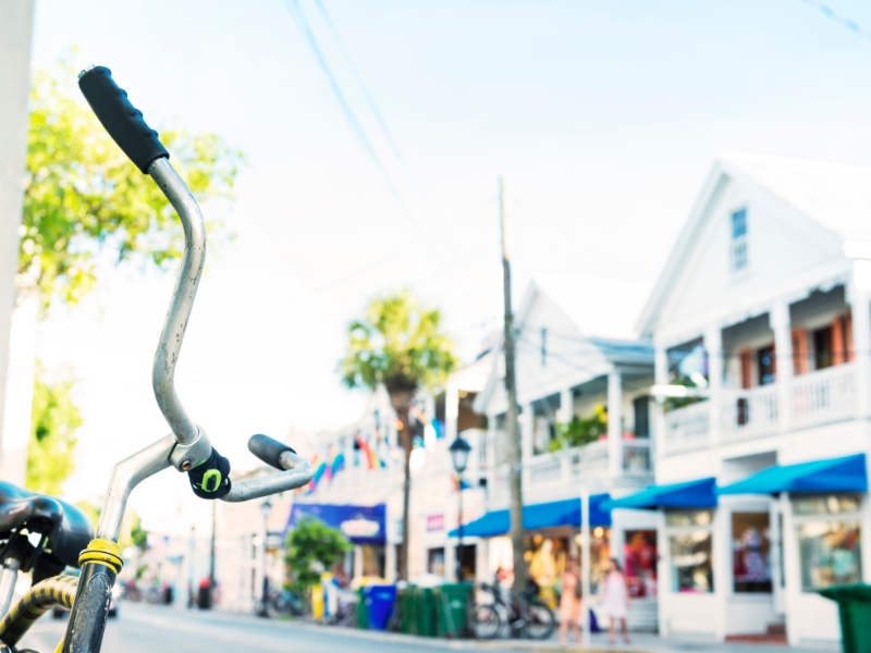 Things to do in Sugarloaf Key | Sugarloaf Key Hotel